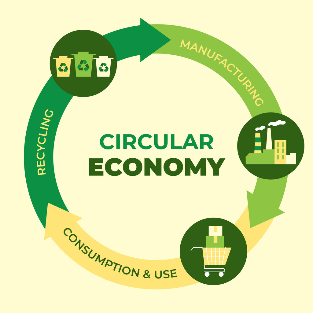 The Surprising Impact of Circular Economy on the Environment – burlingtonph